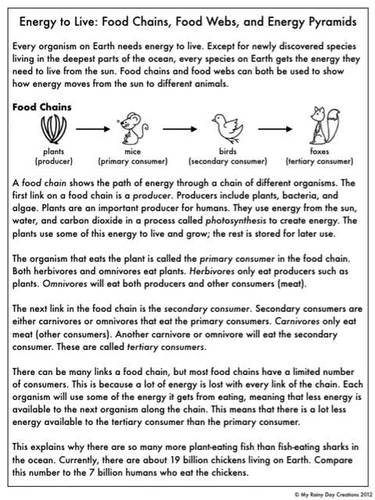 Food Chains, Food Webs, and Energy Pyramids: Reading Passage and Worksheets